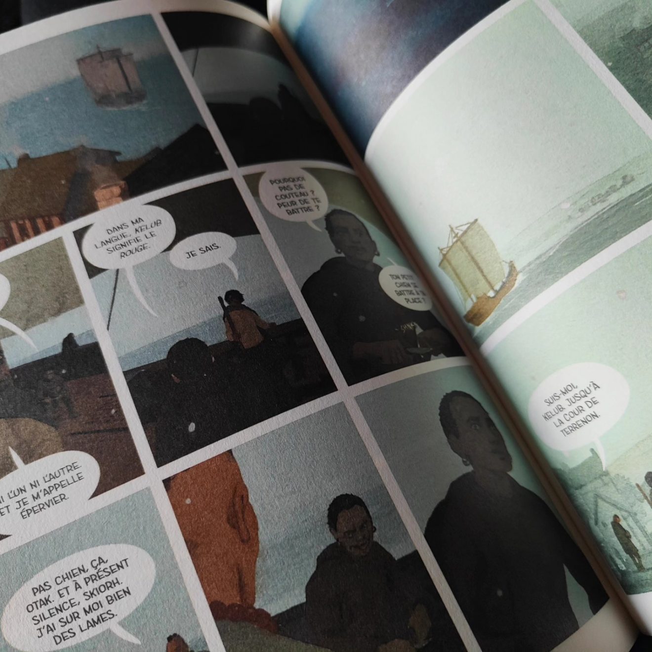 Le sorcier de Terremer d’Ursula Le Guin, adapté et illustré par Fred ...